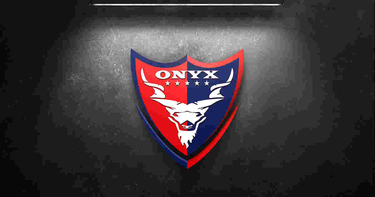 Onyx Security | Expert Security Solutions | No 1 Security